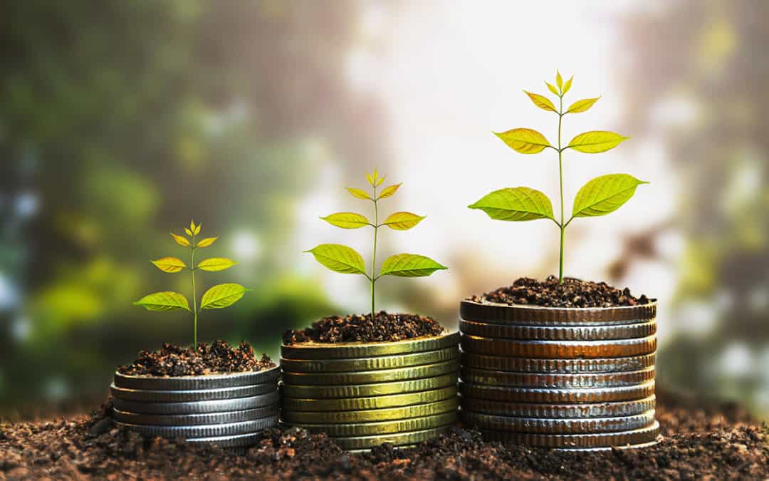 Wealth & Wisdom by Choice - Release Technique